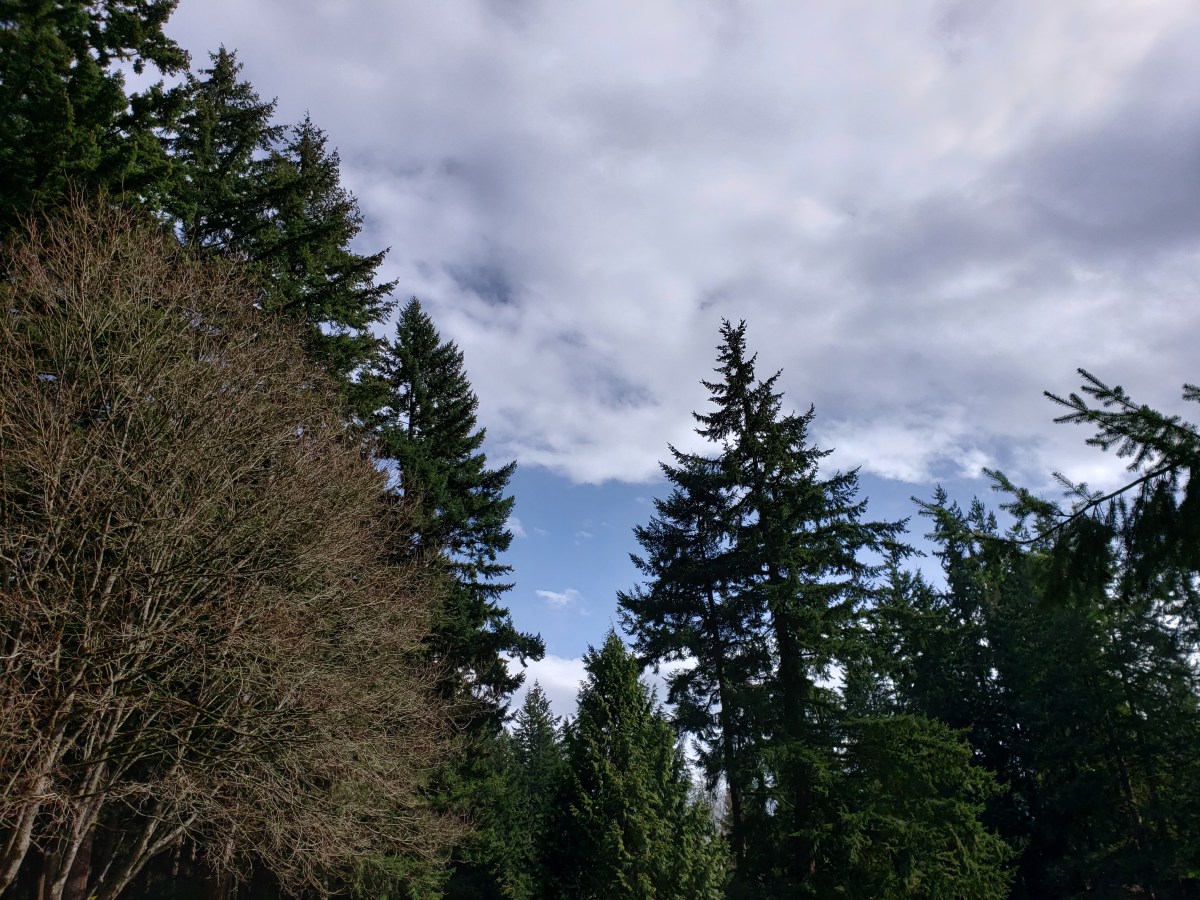 First day of spring – Carl Setzer: Word Shaper